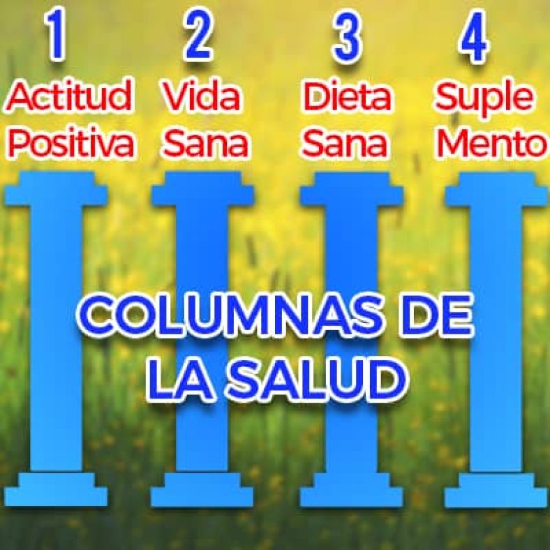 Ganoterapia Dxn 】Que es, Para que sirve y sus Beneficios en tu salud Ganoterapia Dxn 】Que es, Para que sirve y sus Beneficios en tu salud