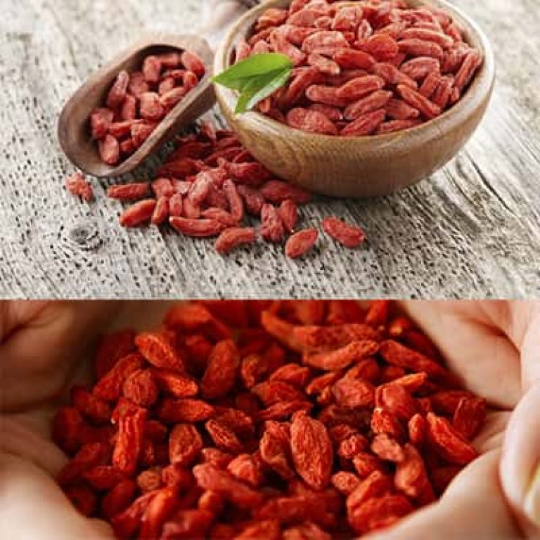 Bayas de Goji 】Todos sus BENEFICIOS, Que es y para que sirven?